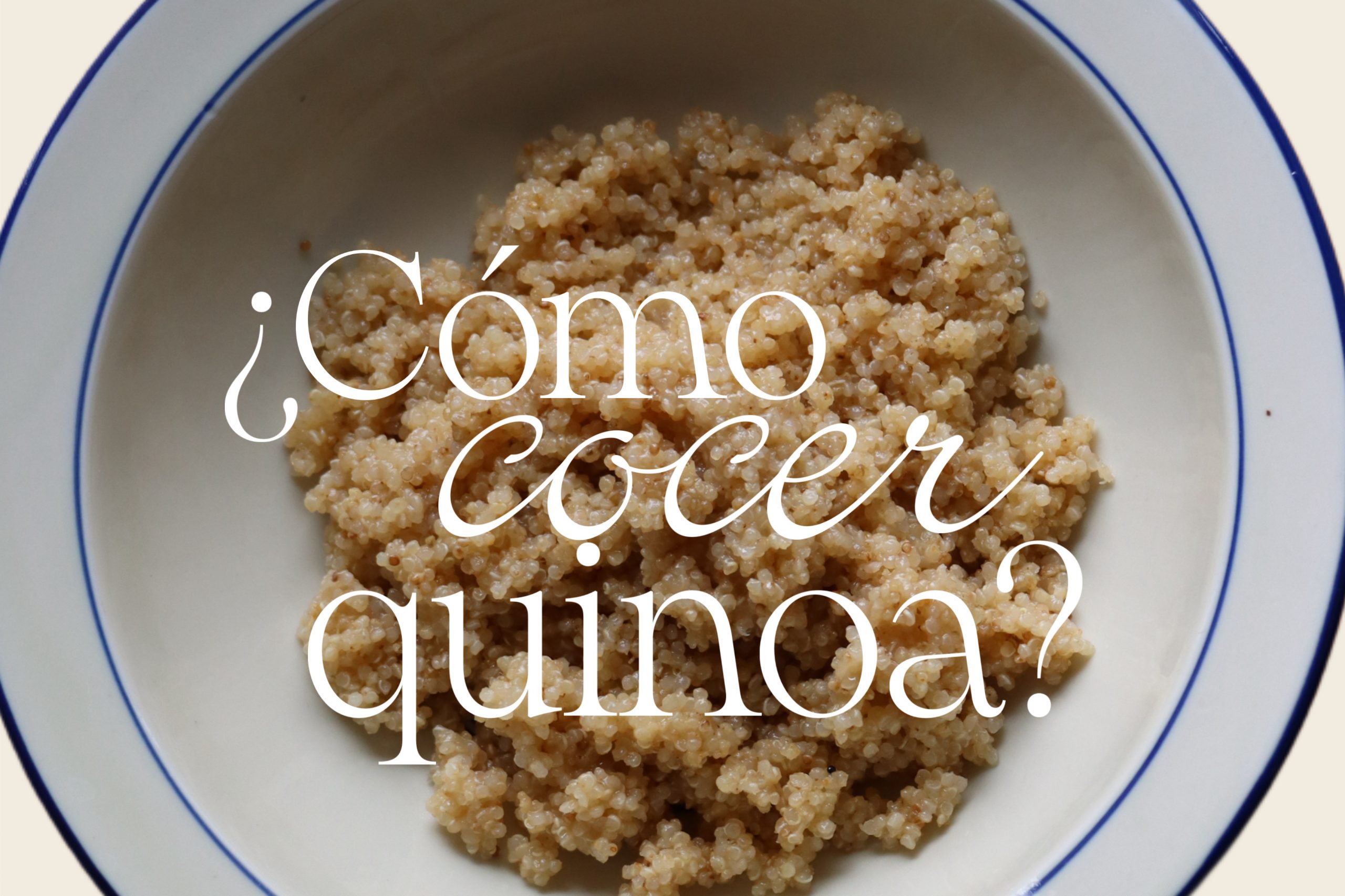 Cómo cocer la quinoa | Quinoa Integral Española